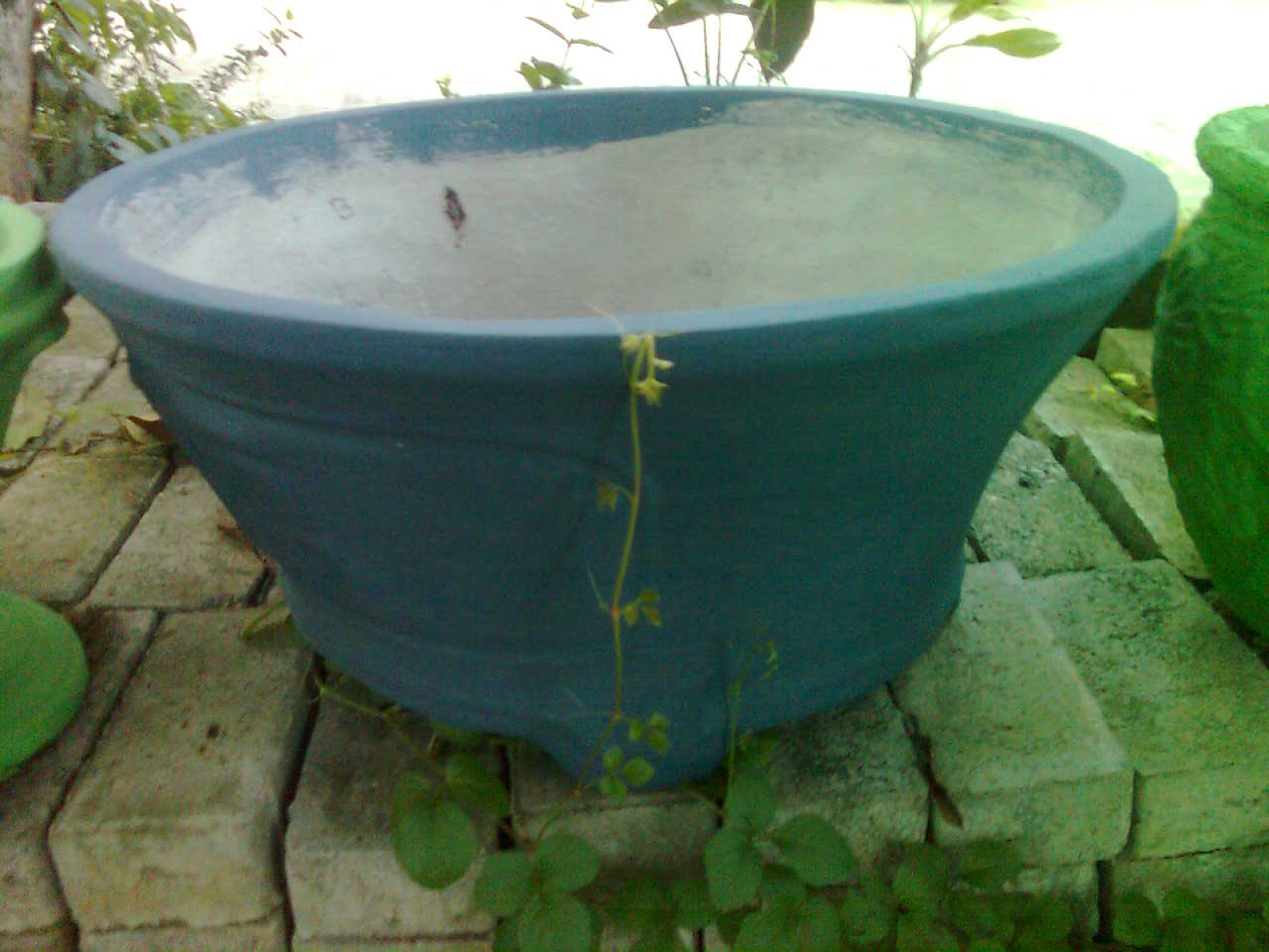 Inspirasi Spesial Bunga Pot Besar, Pot Tanaman