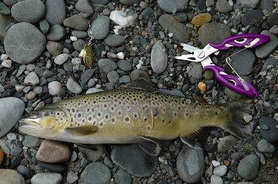 Trout Fishing In Kullu Valley : BAROT