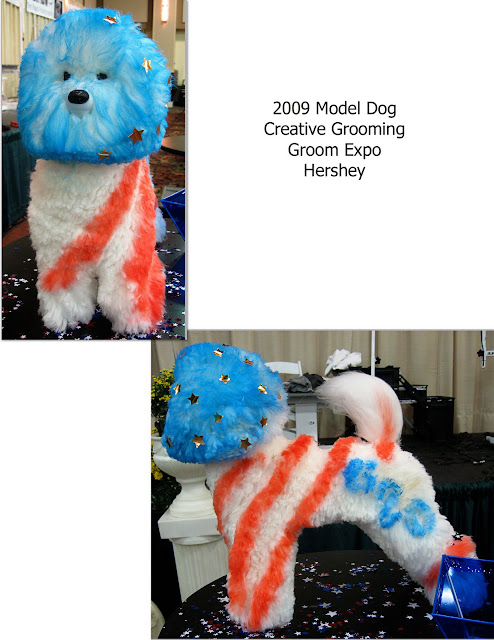 Pet Grooming: The Good, The Bad, & The Furry: Model Dog Grooming