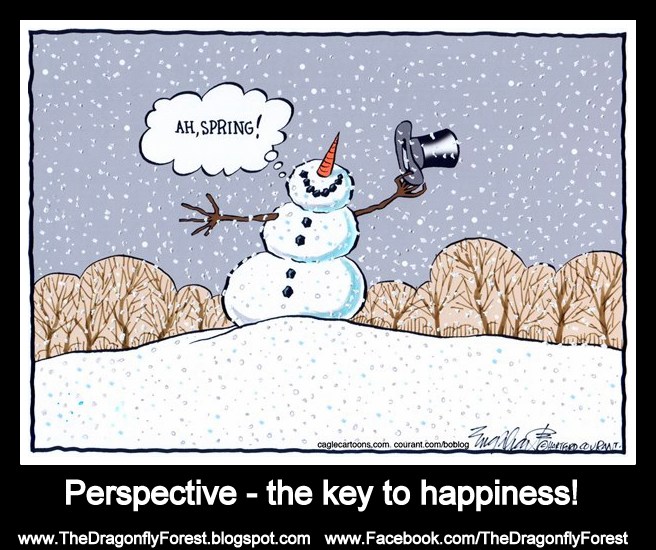 The Dragonfly Forest: Cartoon Saturday - Spring Snow