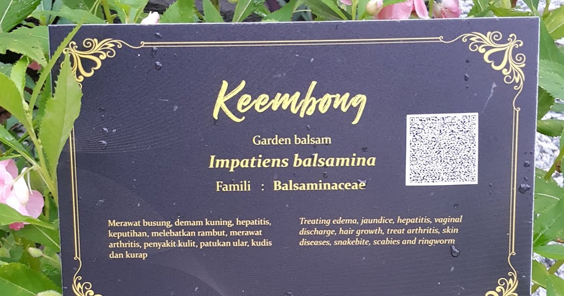 kekalcantik&sihat: Keembong