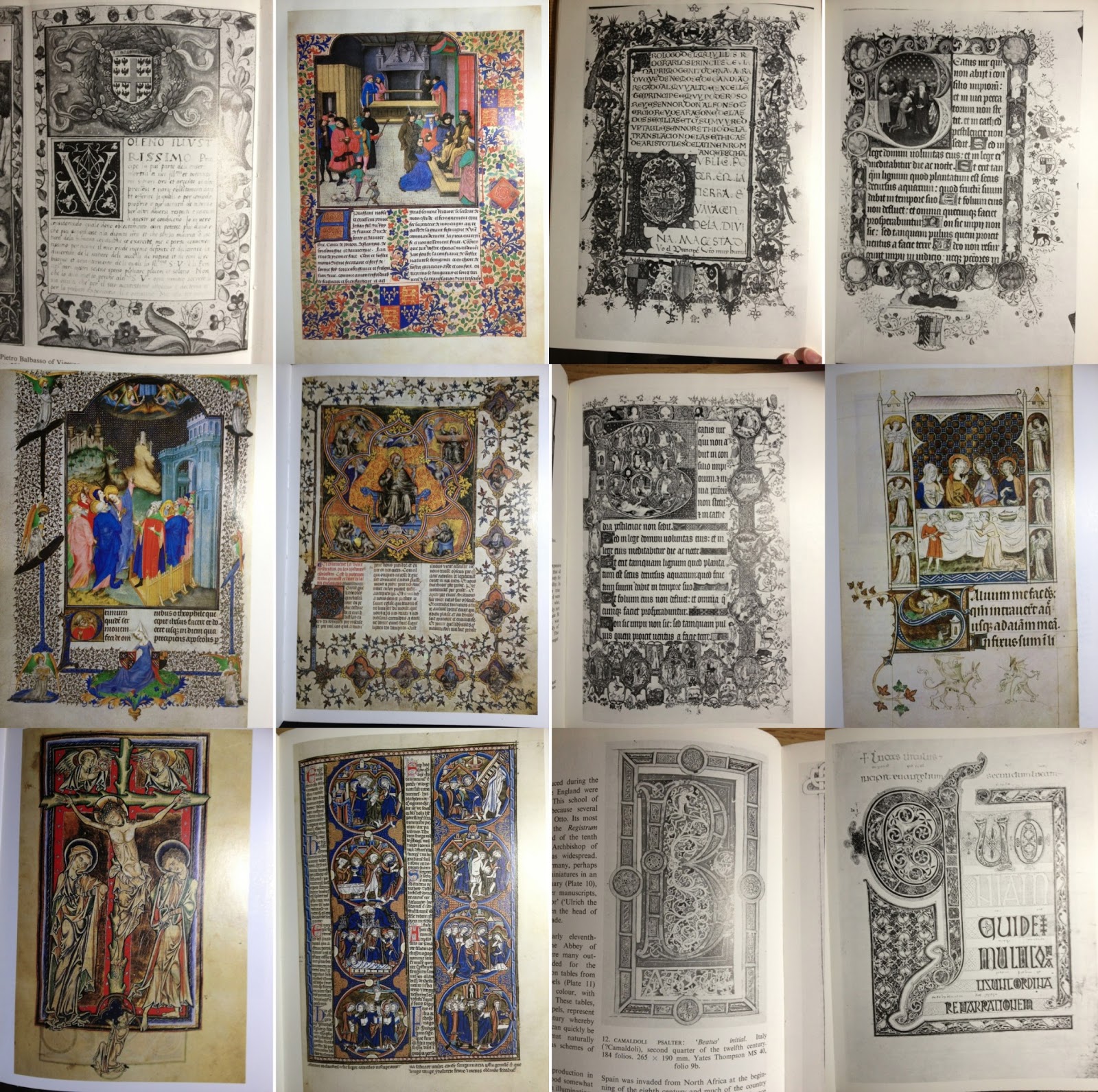 Liz Owen - Graphic Design and Illustration: FMP: Inspiration ...