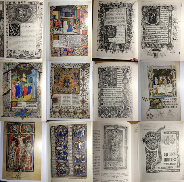 Liz Owen - Graphic Design and Illustration: FMP: Inspiration ...