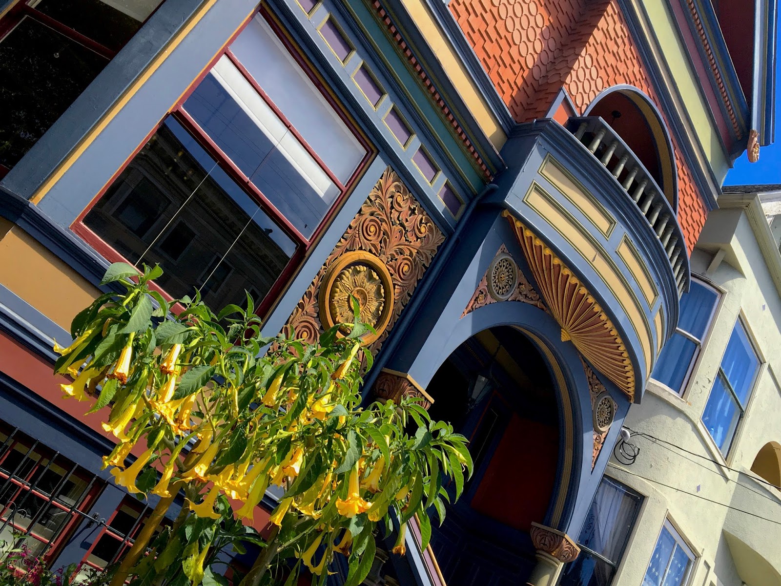 New Book Soon to be Released