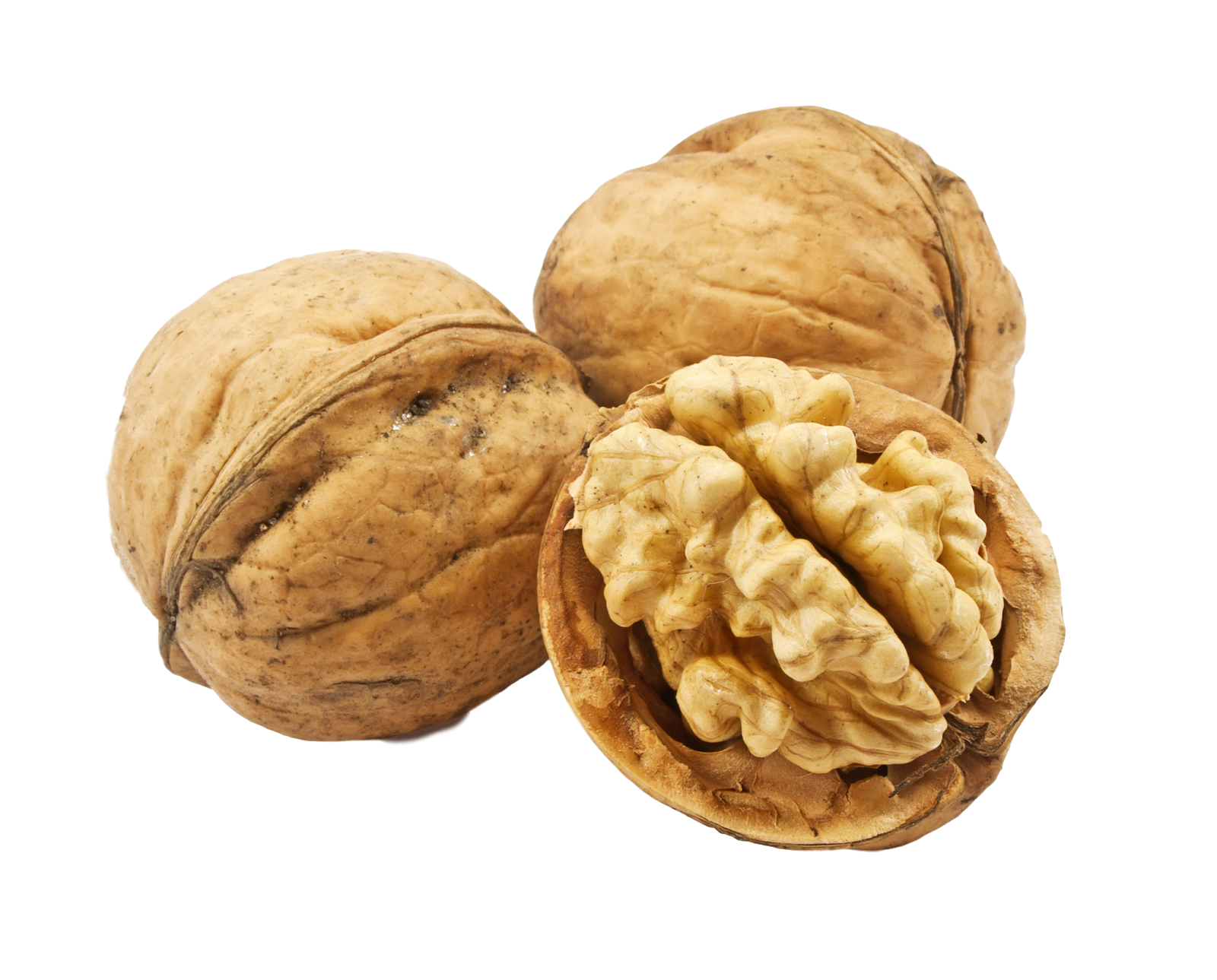 ® Colección de Gifs ®: NUEZ - WALNUTS