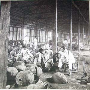 No Dhimmitude: Iquitos, Peru: Rubber Boom and the Rubber Barons of the ...