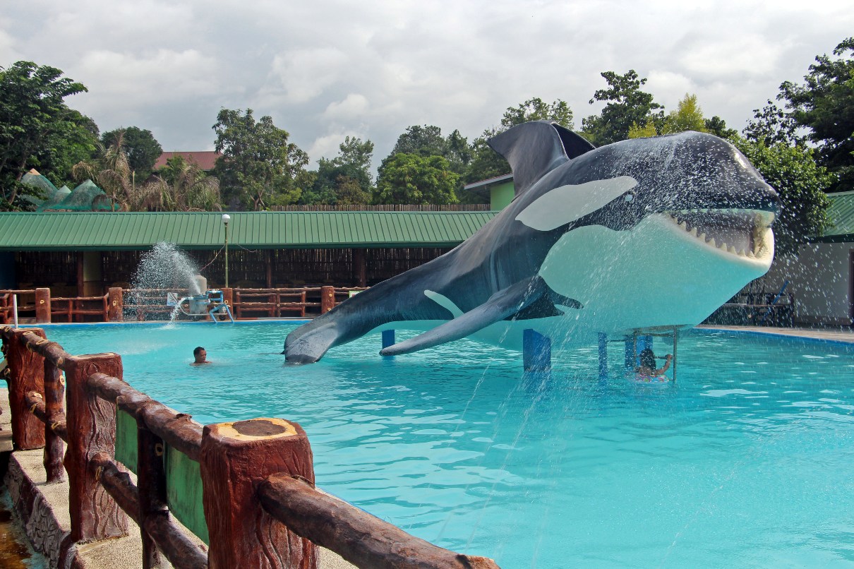 the viewing deck: Family Day Swimming in Bulacan's Big Rock Resort