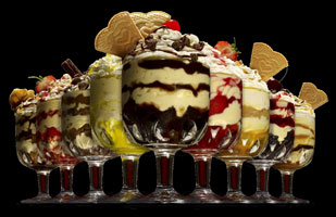 HARVESTER ~ Charm's Travel Journal