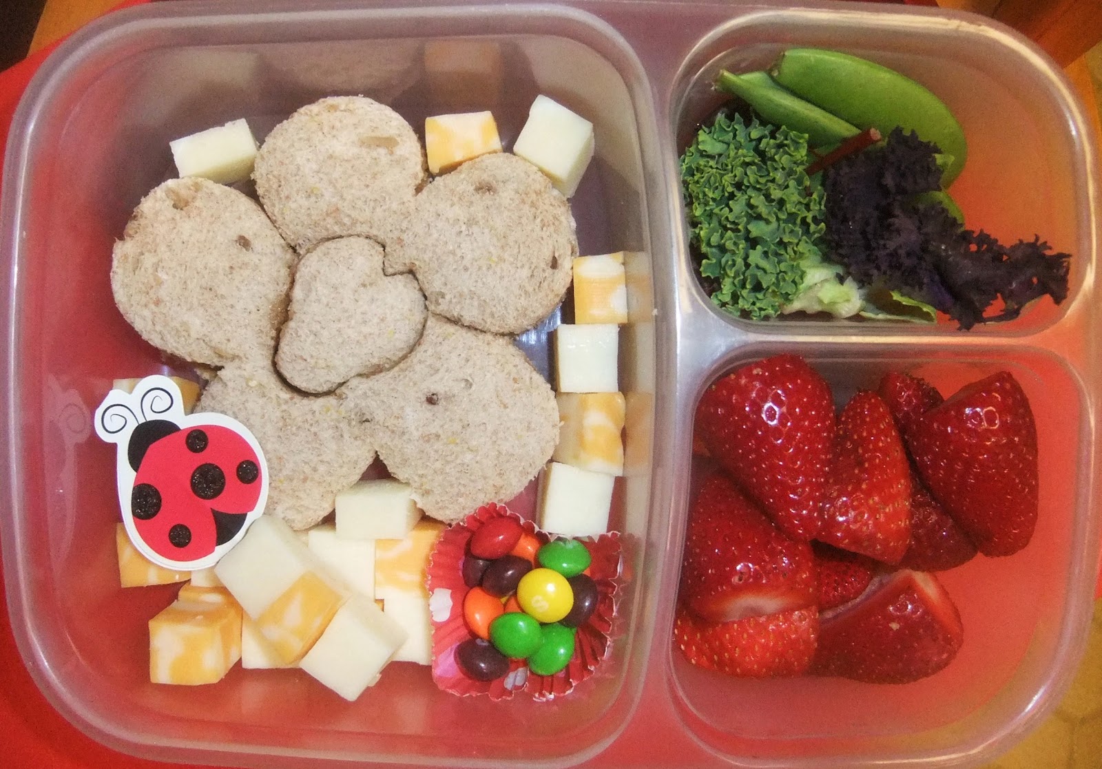 Biting The Hand That Feeds You: Ladybug Bento Lunch