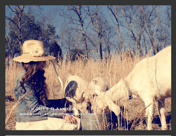 Pixel & Hank: In Action: Rachele Angelo Photography Part 1