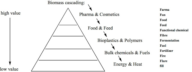 Cascadering, Duurzaamheid en Kringlopen (2) – biocascadering