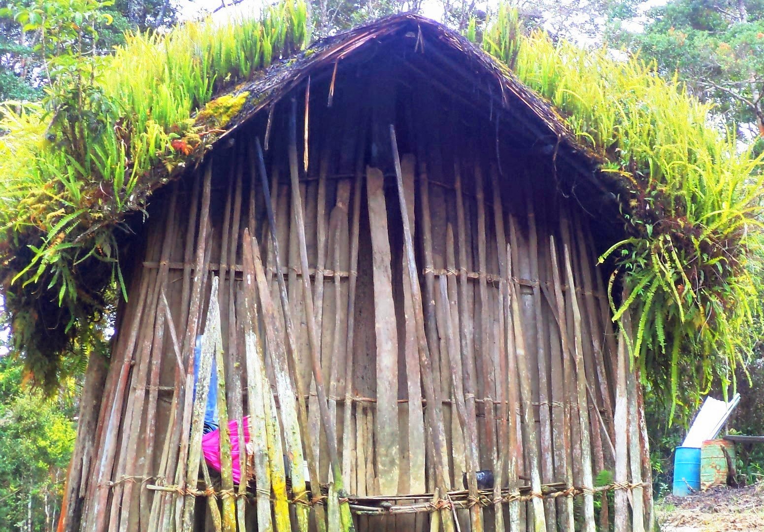 PROFILE KEBUDAYAAN & PARIWISATA KAB DEIYAI PAPUA