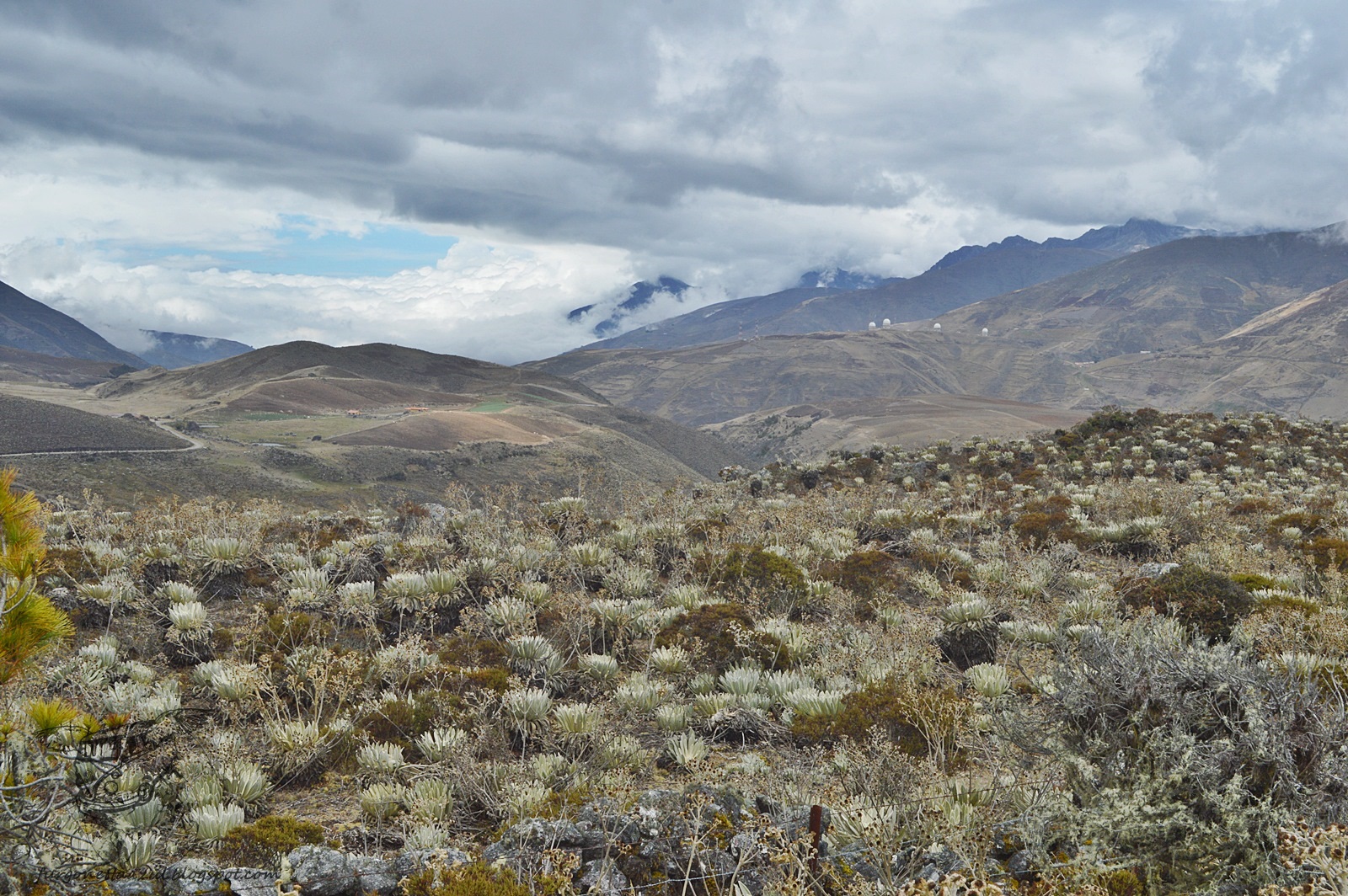 FURGONETA AZUL: LOS PÁRAMOS, ANDES VENEZOLANOS.