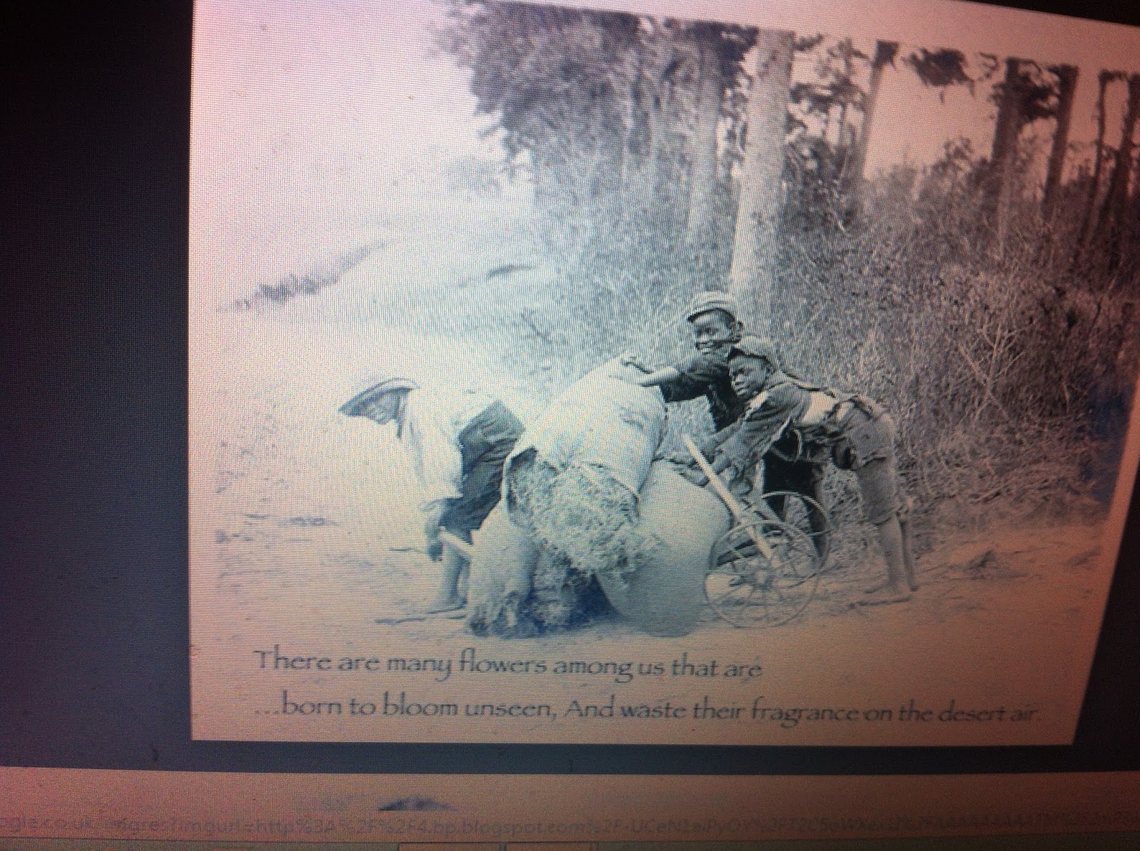 THE BLACK SOCIAL HISTORY:: BLACK SOCIAL HISTORY : AFRICAN AMERICAN ...