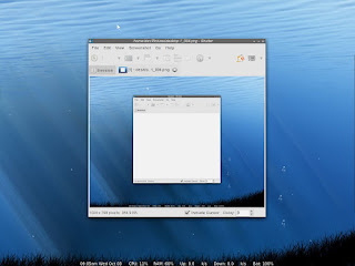 PPC Luddite: Skitch Alternative for Linux