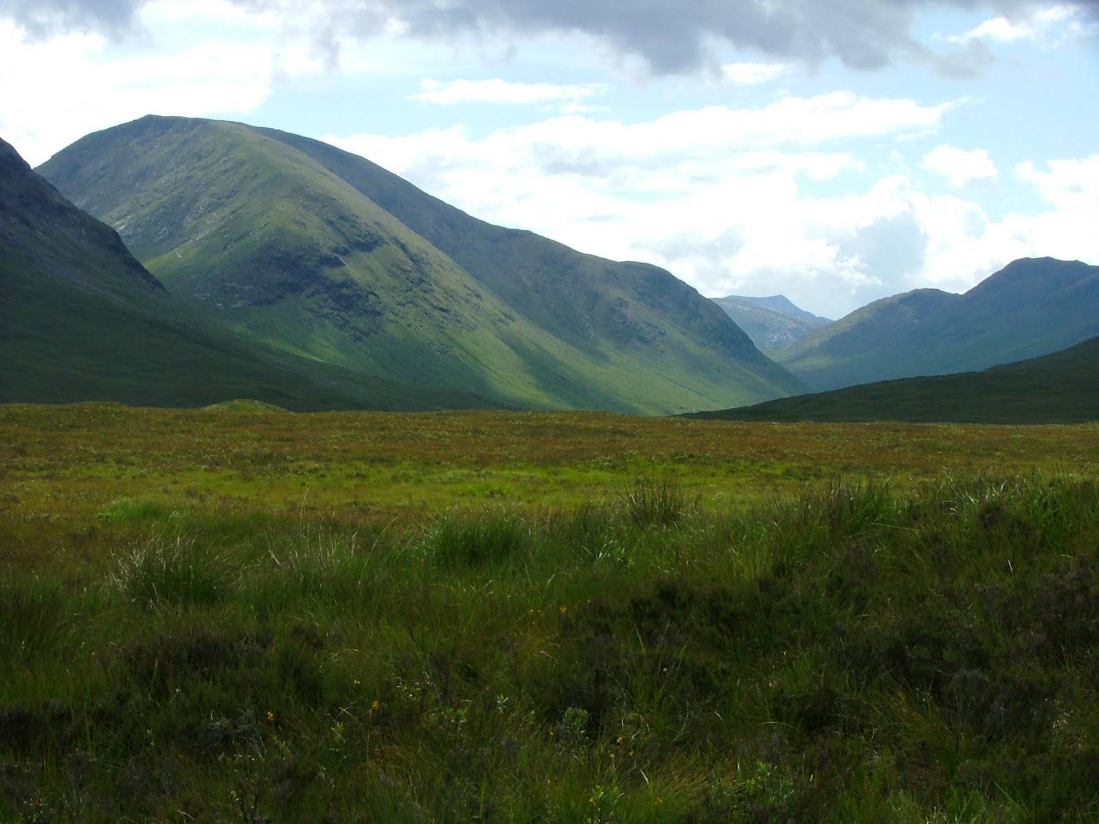 HEATHS IN EUROPE: SCOTLAND THE BRAVE