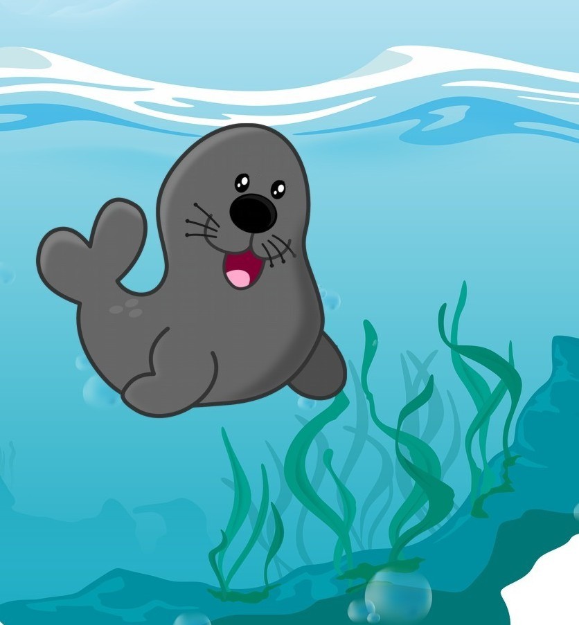 Contes d' Animals: LA FOCA ARTISTA