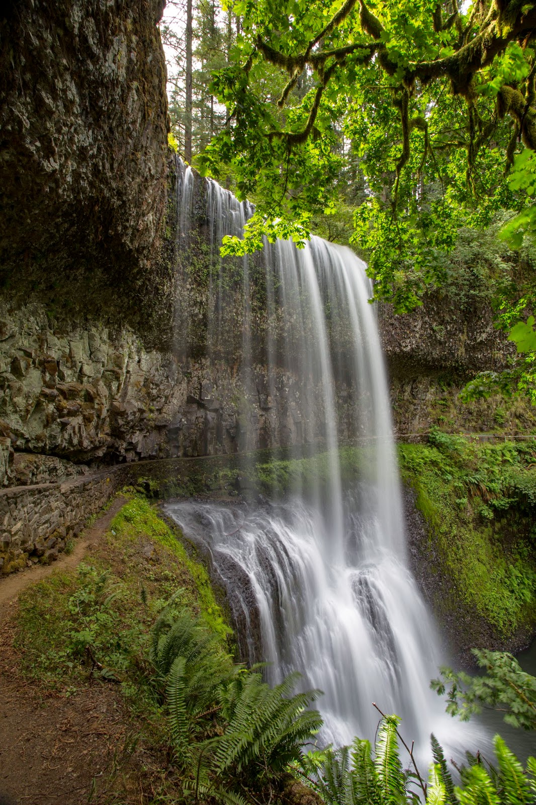 David VanKeuren's Photography: Silver Creek Falls State Park - South ...