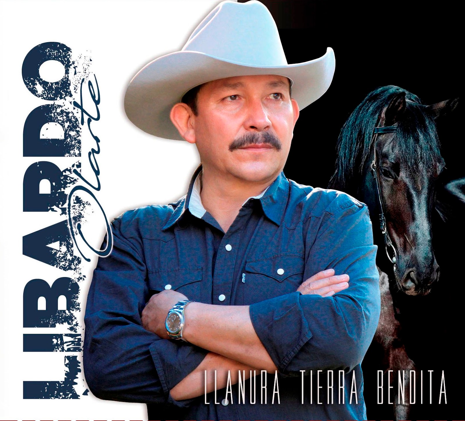 ARAUCA LLANO Y FOLCLOR: LIBARDO OLARTE, HAZTE LA LOCA, PROMO 2018