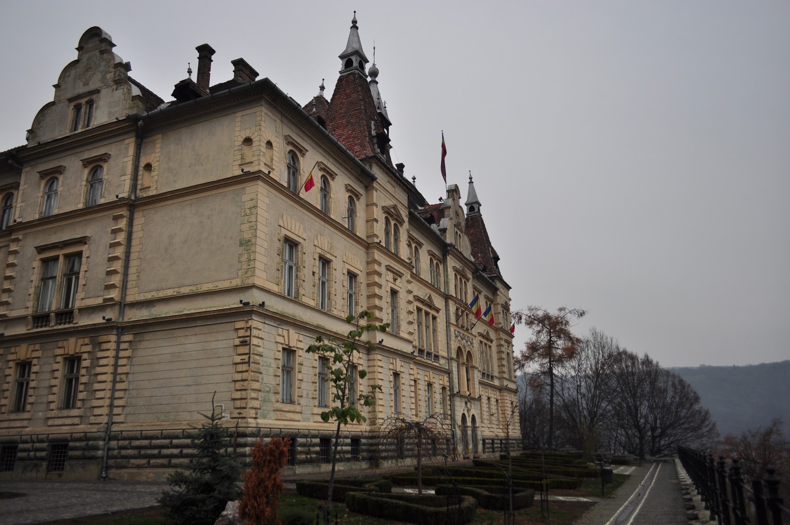 Poze, Natura, Animale, Plante, Romania, Valcea, Ionut Ungureanu