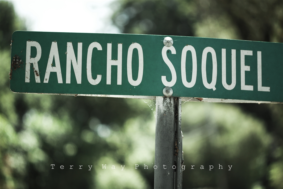 Terry Way Photography Santa Cruz Photographer: Rancho Soquel Wedding ...
