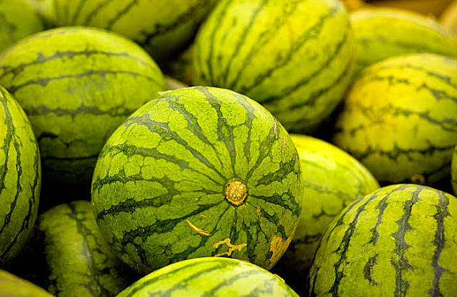 The Blogging Baker: Melon Felon