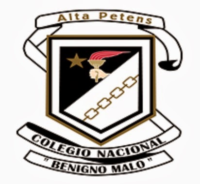 «CRÍTICA Y OPINIÓN CULTURAL»: COLEGIO «BENIGNO MALO»: SESQUICENTENARIO ...