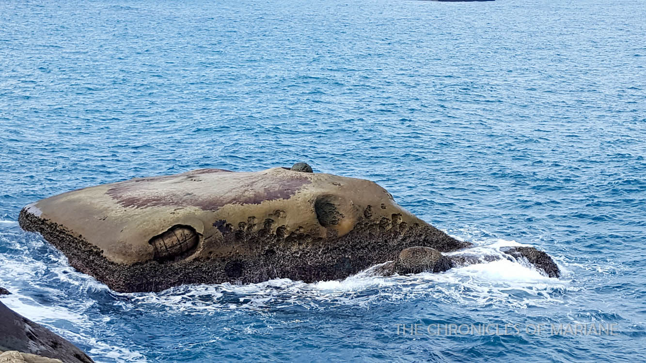 Yehliu Geopark - Taiwan’s Rock Theme Park? | The Chronicles of Mariane