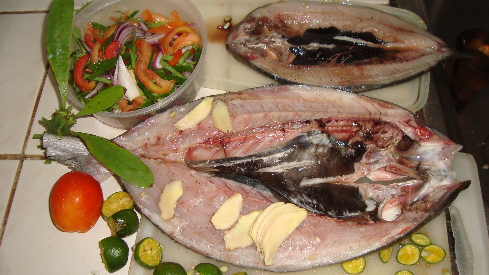 Living with Nature - School on Blog by Dr. Abercio V. Rotor: Karimbuaya ...