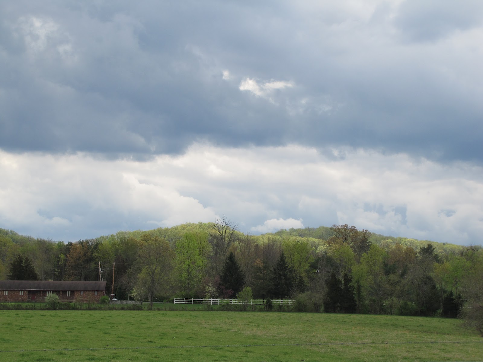 Appalachian Heartbeat: A Spring Journey Along the Roads of Kentucky
