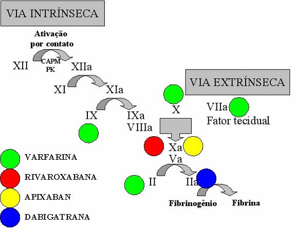 Centro de Terapia Semi-Intensiva Hospital de Clínicas - UFPR: A ...