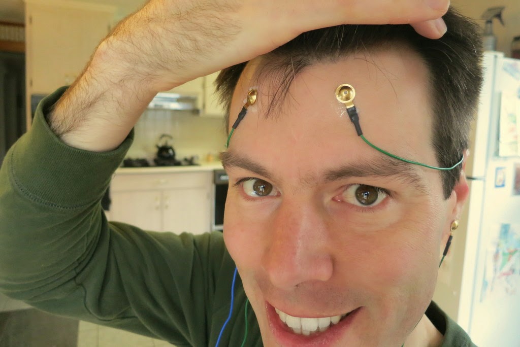 EEG Hacker: Concentration - Birds Beat the Internet