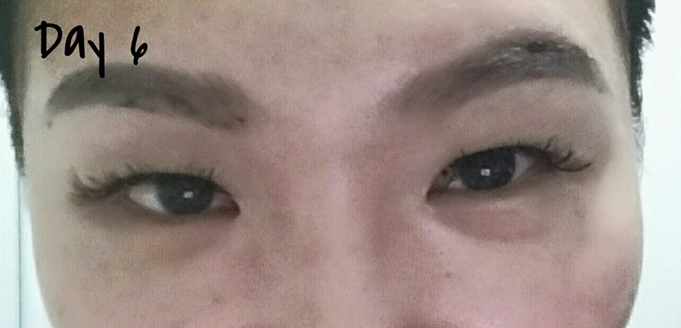 thegirlsinsaneeats: Eyebrow Embroidery Healing Process