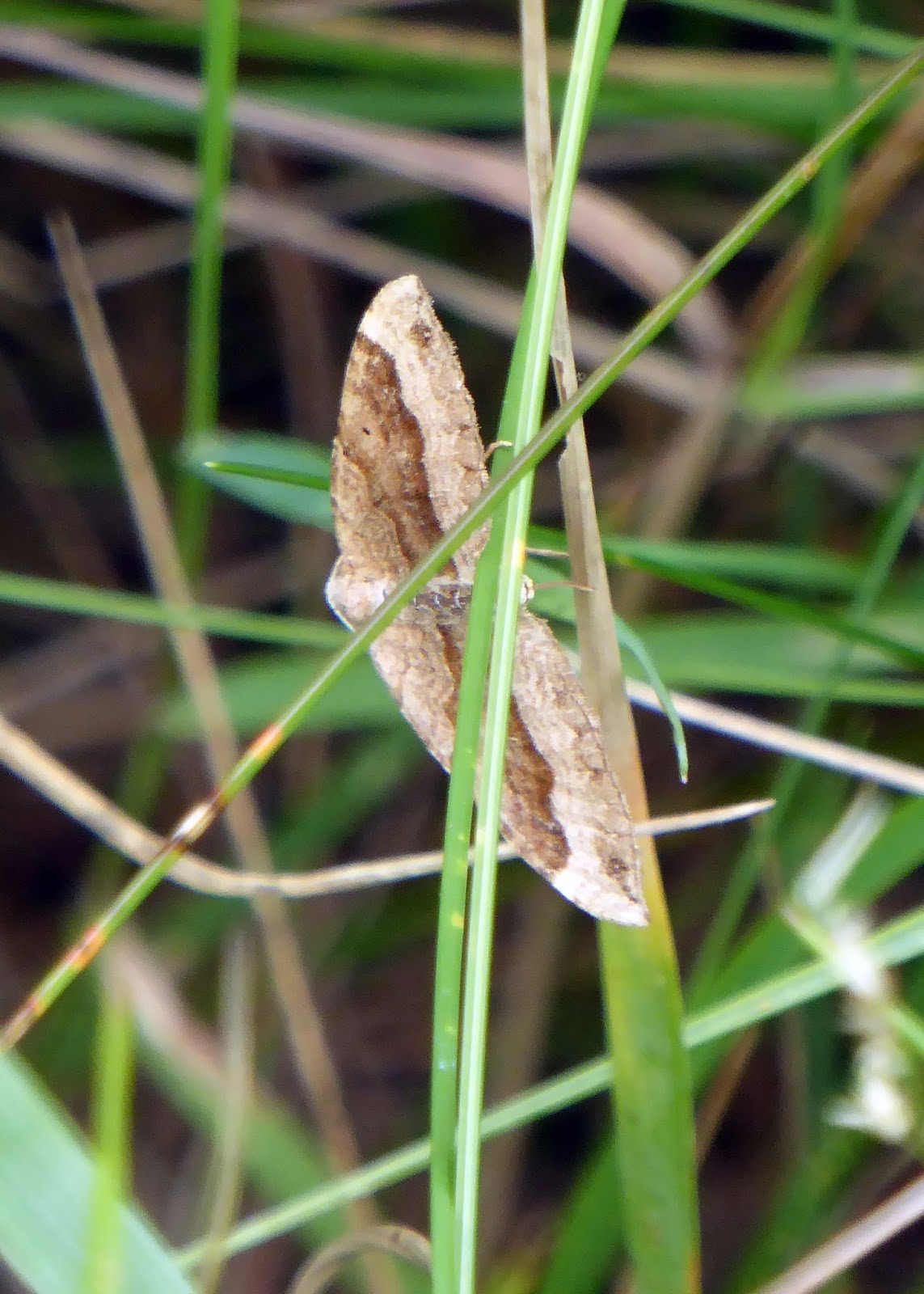 Wild and Wonderful: September 2017