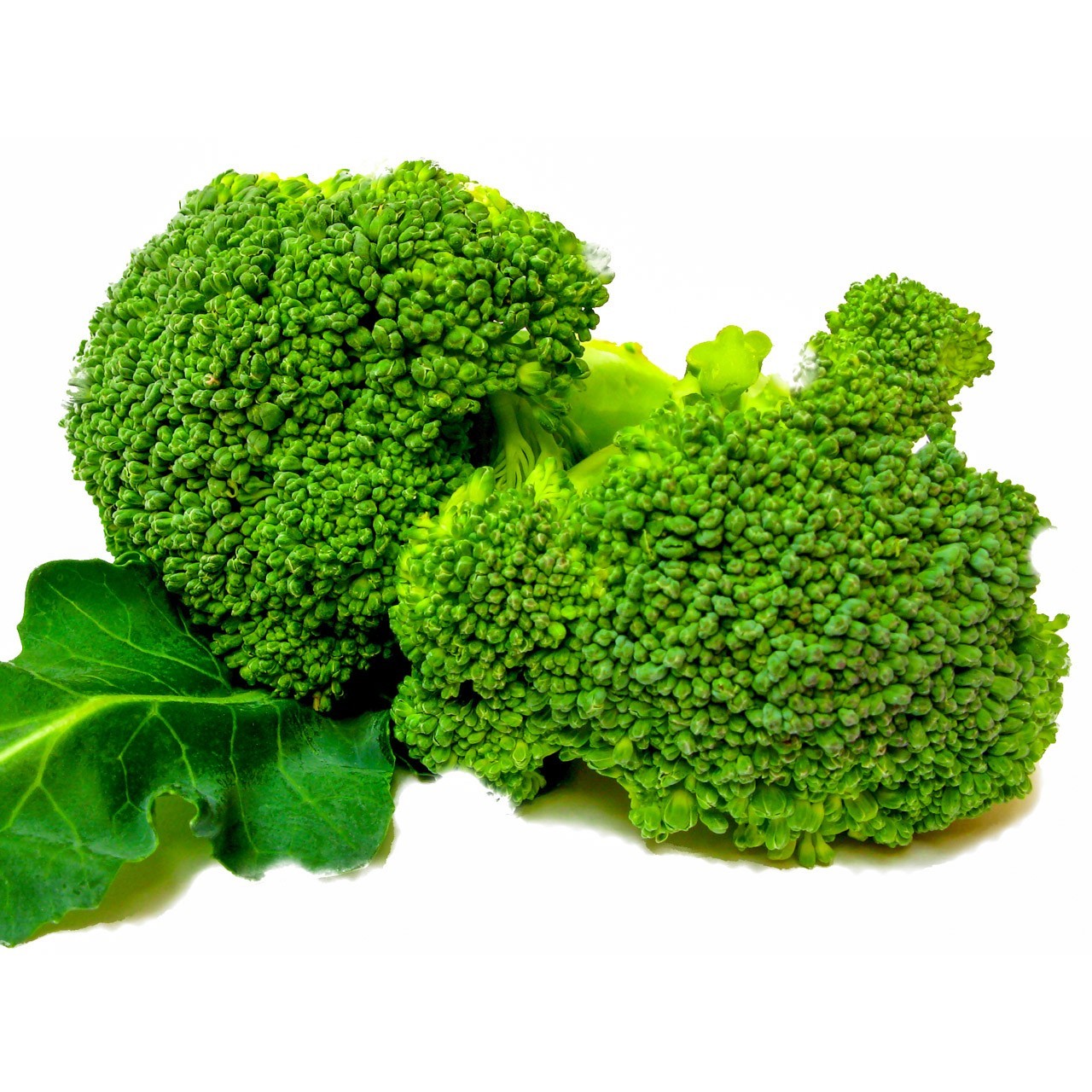 Brocoli wallpapers