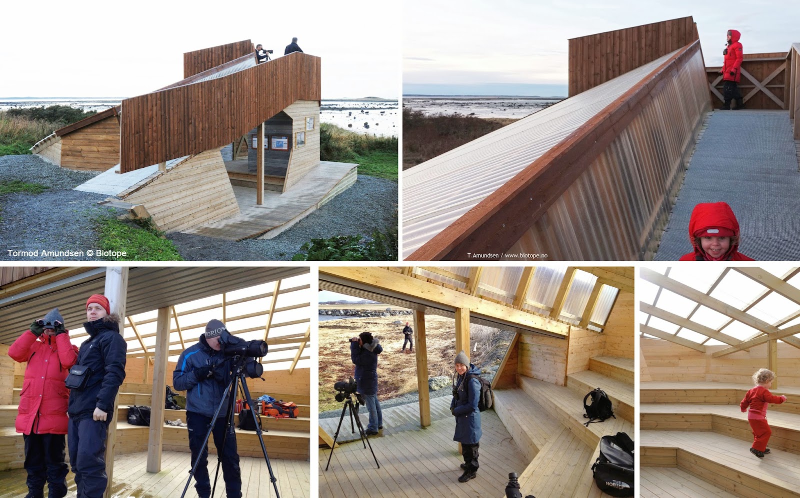 biotope: Birding Architecture - bird hides & nature reserve innovation