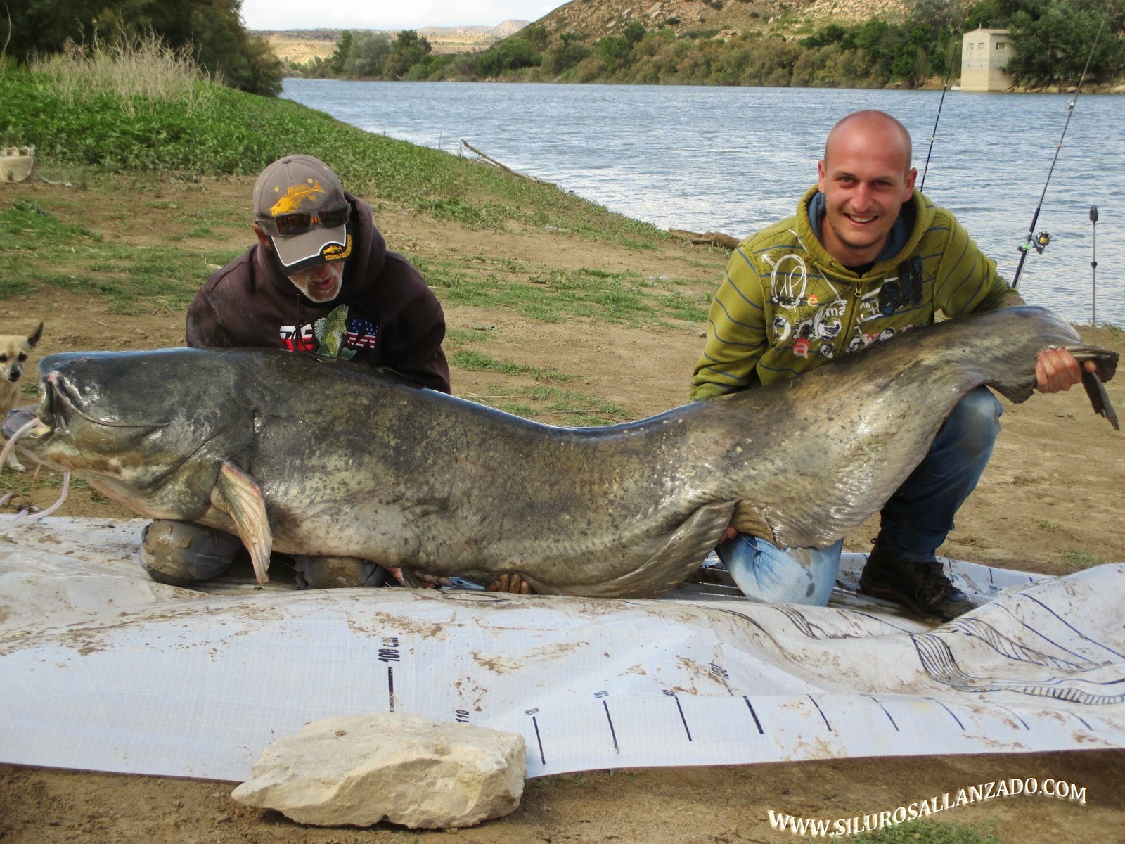GUIA DE PESCA DE SILUROS AL LANCE (SPINNING) EN EL RÍO EBRO Y ...