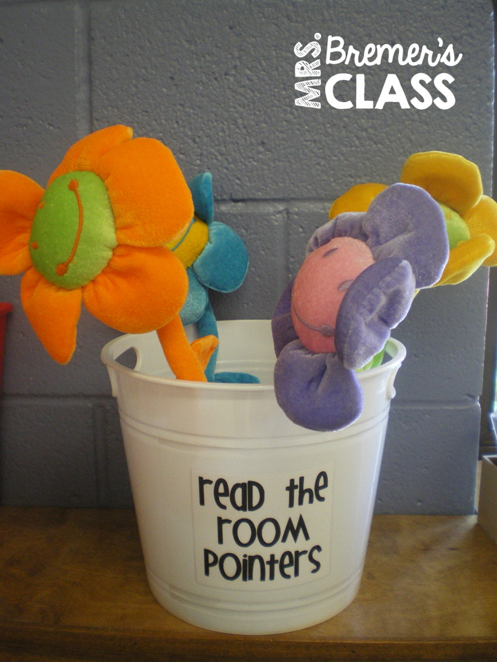 'Reading' the Room Using Pointers | Mrs. Bremer's Class