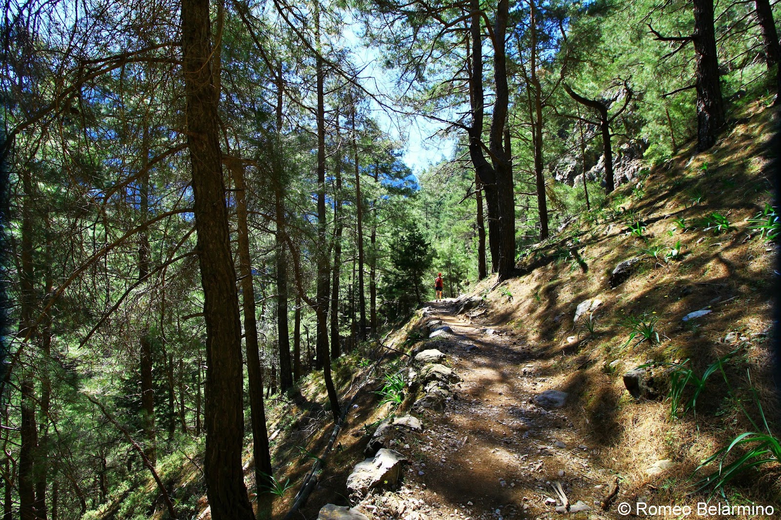 Everything You Need to Know About Hiking Samaria Gorge | Travel the World