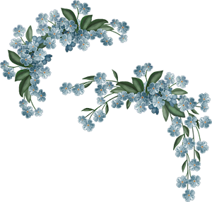 Alles voor en over PSP : CORNERS BLOEMEN