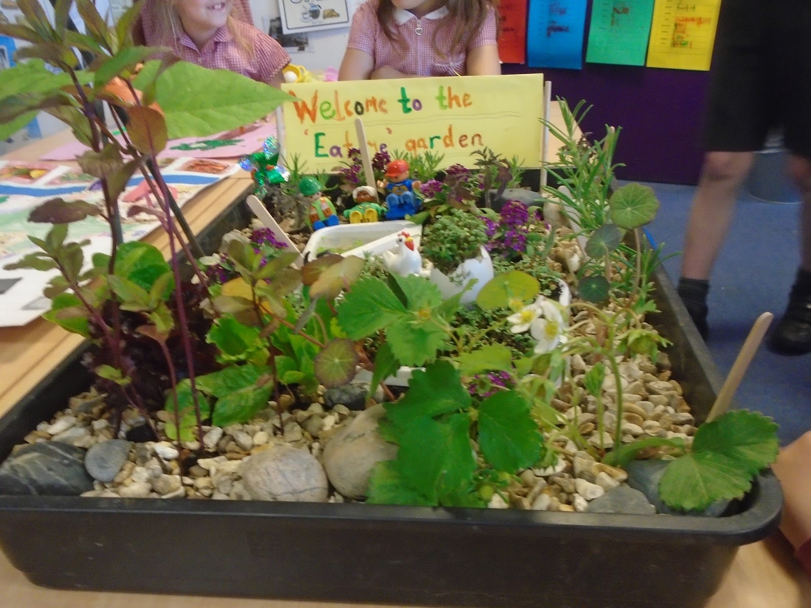 Chilcote Primary School: Year 1 become garden designers!