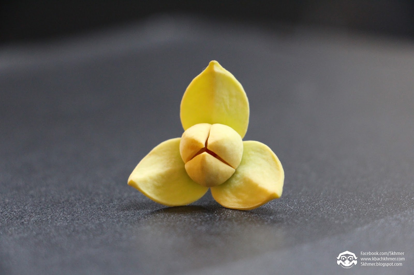 Fine Khmer: Romdul Romdol រំដួល