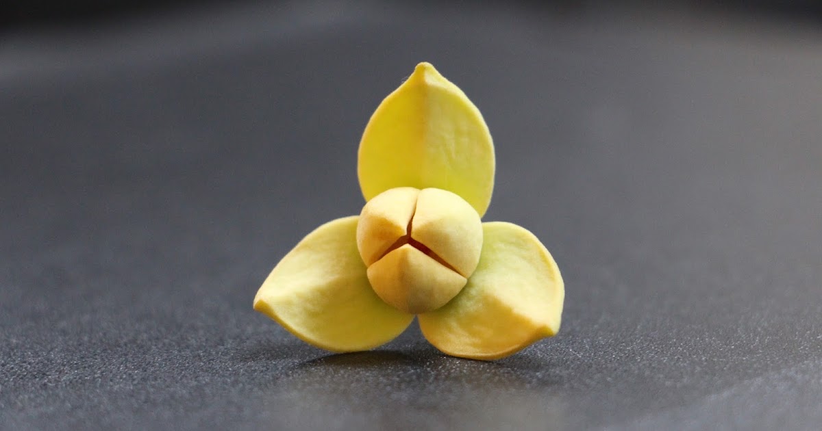 Fine Khmer: Romdul Romdol រំដួល