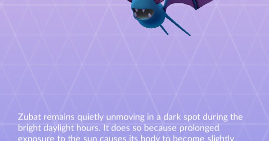 Pokemon Go: Zubat Evolution