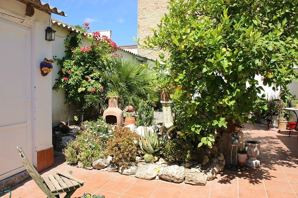 Sharon in Spain: A little Spanish garden.....