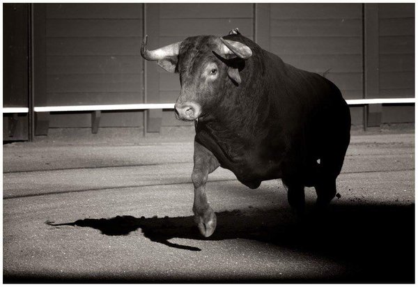 El Paseillo: Pretextos espurios