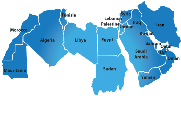 WELCOME TO THE PEFA NETWORK: For Citizens of Countries in the MENA Region