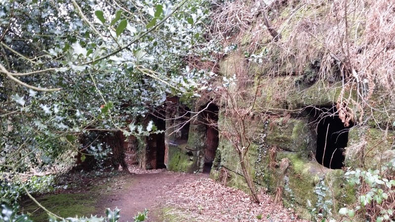 Lucy's Wednesday walks: Kinver Edge walk. More rock houses