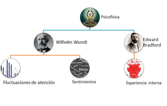 PSICOFOLIO: PSICOLOGIA FISIOLOGICA Y PSICOFISICA