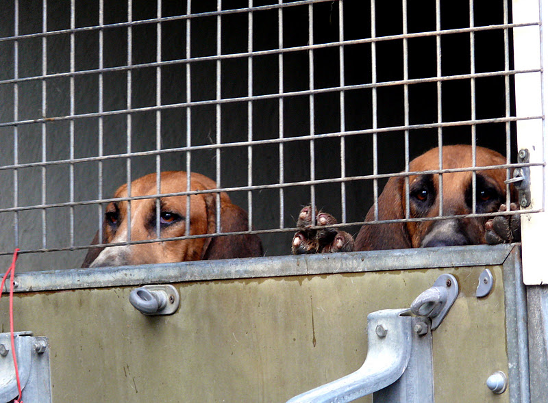 Inutile pour les uns indispensable pour les autres ! !: Poursuite d'un ...